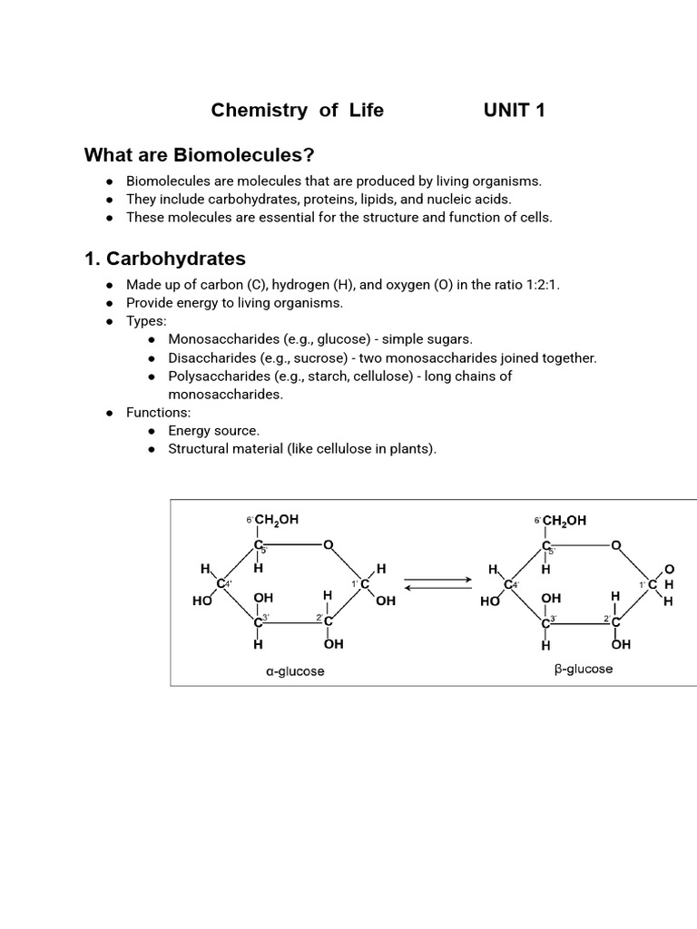 Biomolecules and Enzyme Function Basics | PDF | Enzyme | Carbohydrates