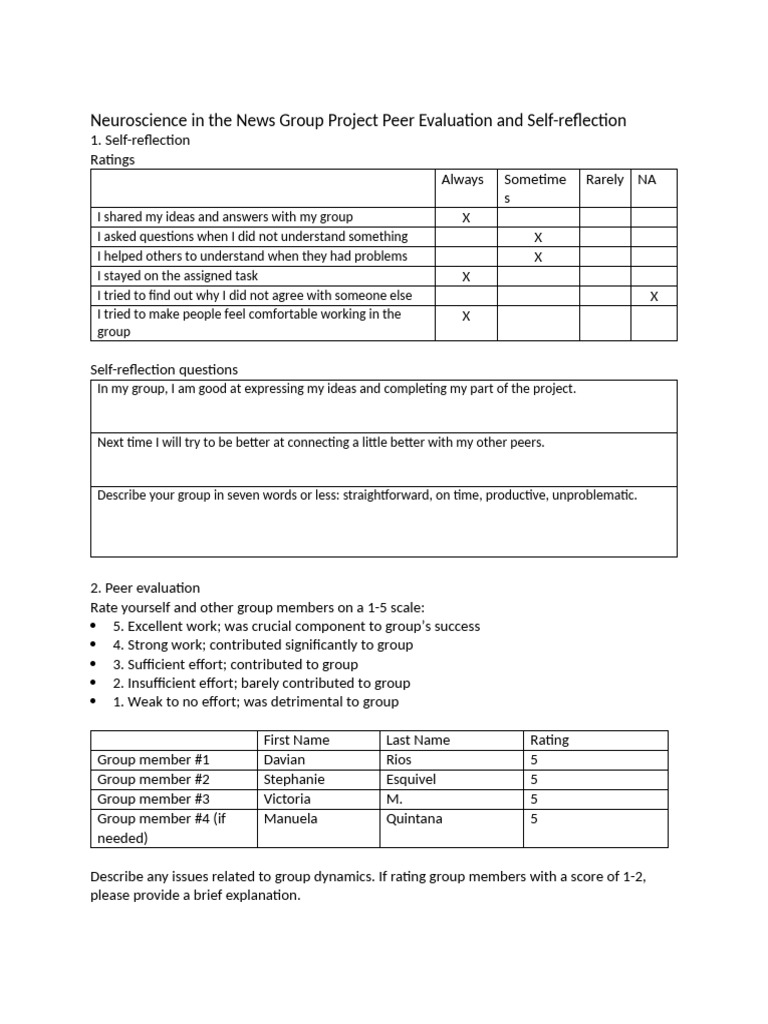 Neuroscience Project Peer Evaluation Guide | PDF