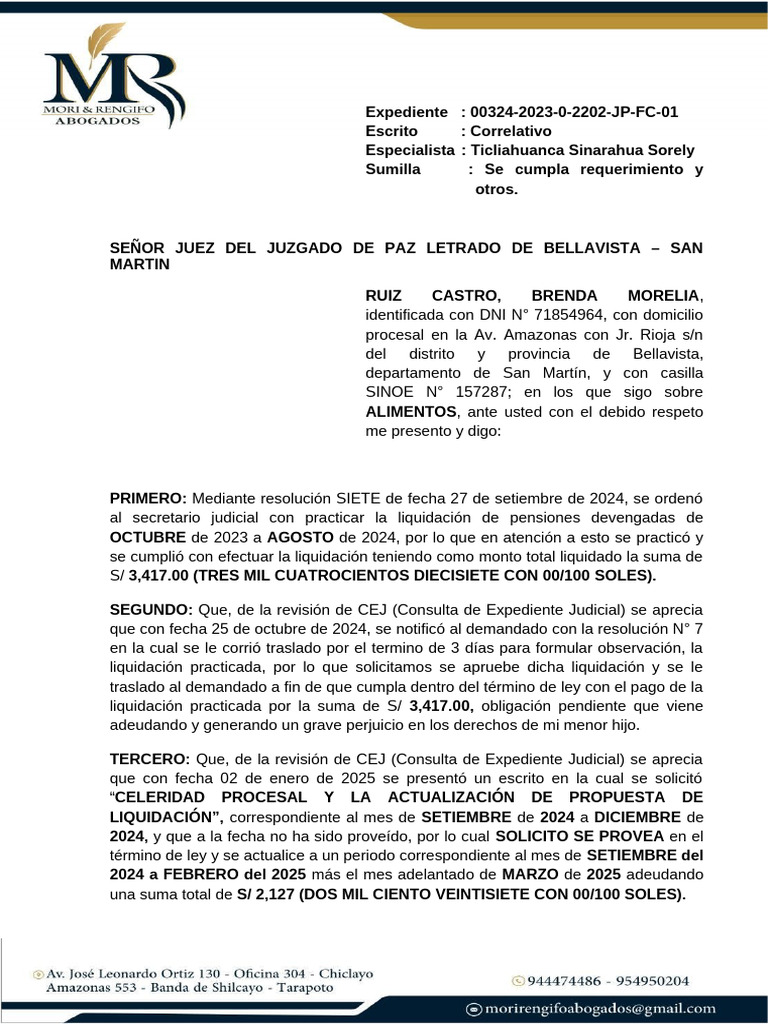 Celeridad Procesal - Pendiente 01 de Maroz - Brenda Morelia | PDF | Demanda judicial | Justicia