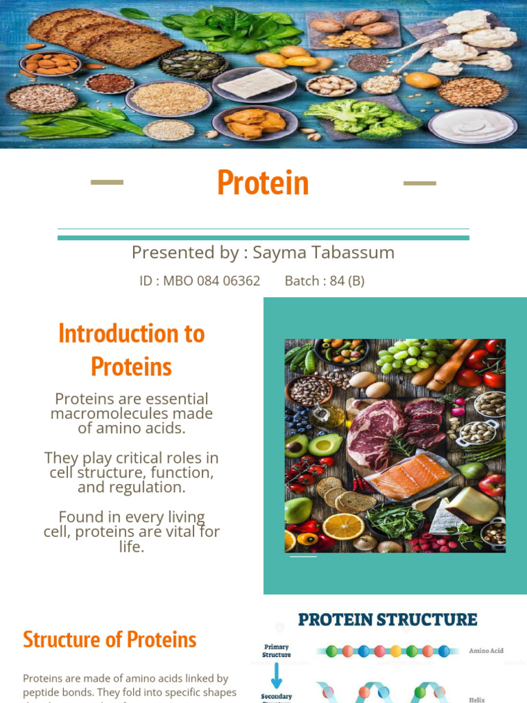 Essential Proteins: Structure & Functions | PDF