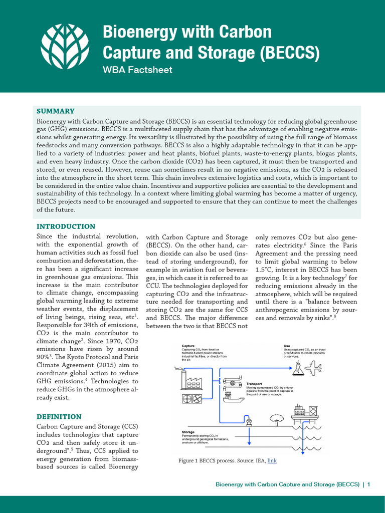 BECCS: Bioenergy for Negative Emissions | PDF | Biofuel | Power Resources