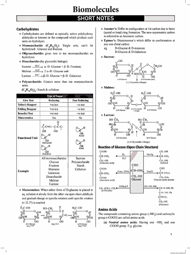 Short Note Biomolecules 1 | PDF