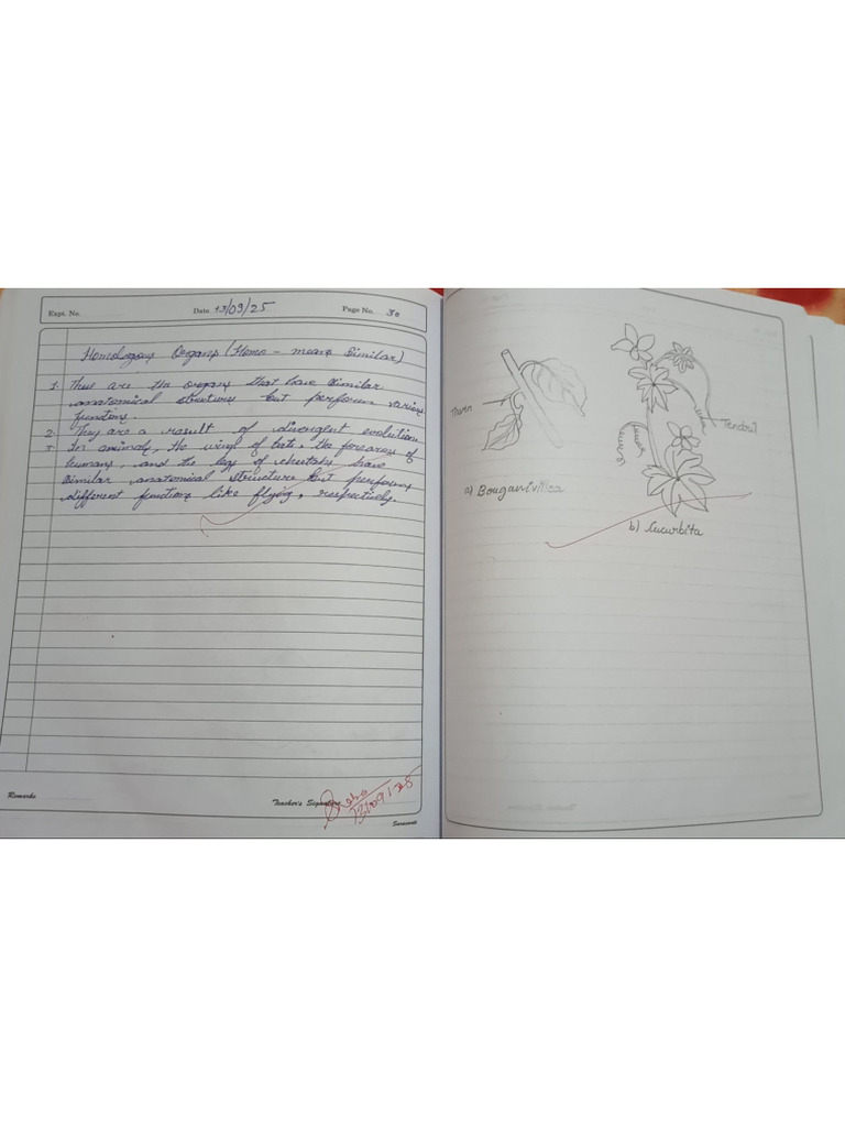 Bio Lab Manual | PDF