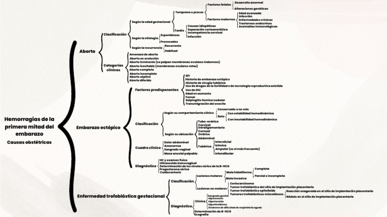 Beige and Black Minimalist Simple Synoptic Chart Outline Mind Map ...