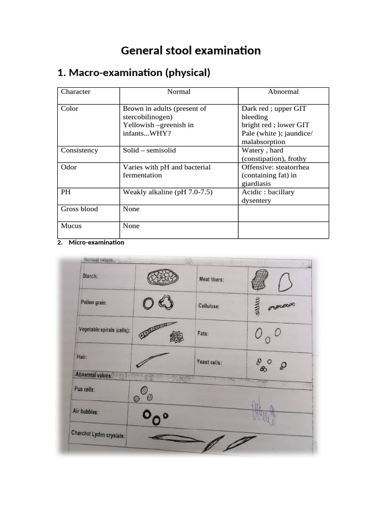 Comprehensive Stool Examination Guide | PDF