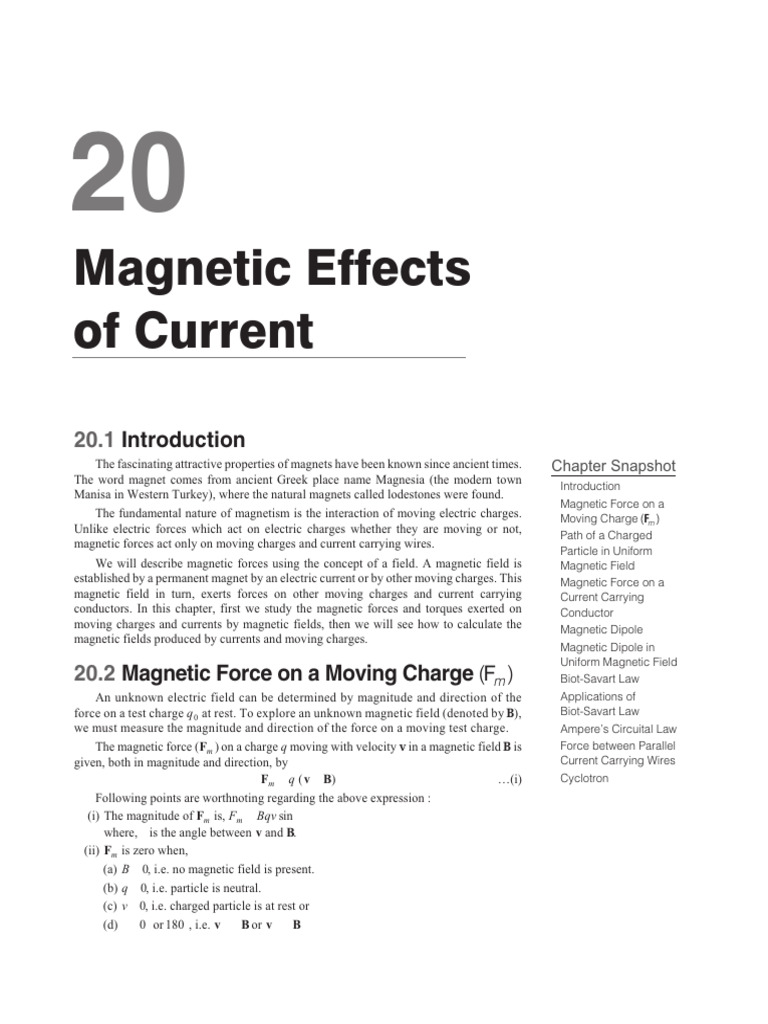 Ch 20 Magnetic Effects of Current | PDF | Magnetic Field | Force