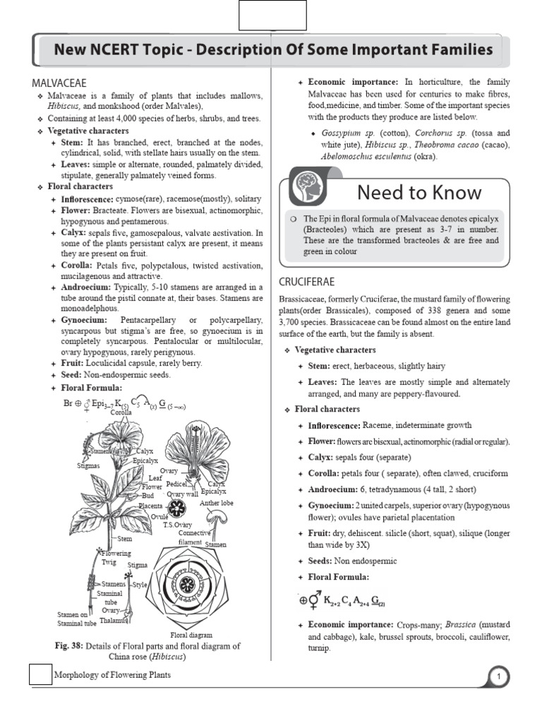 Families | PDF | Flowers | Botany