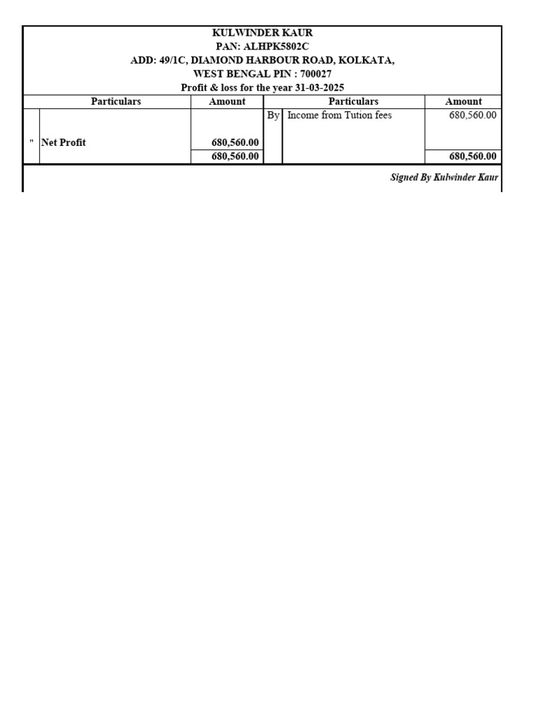 BS & PL 2024-25-1 | PDF