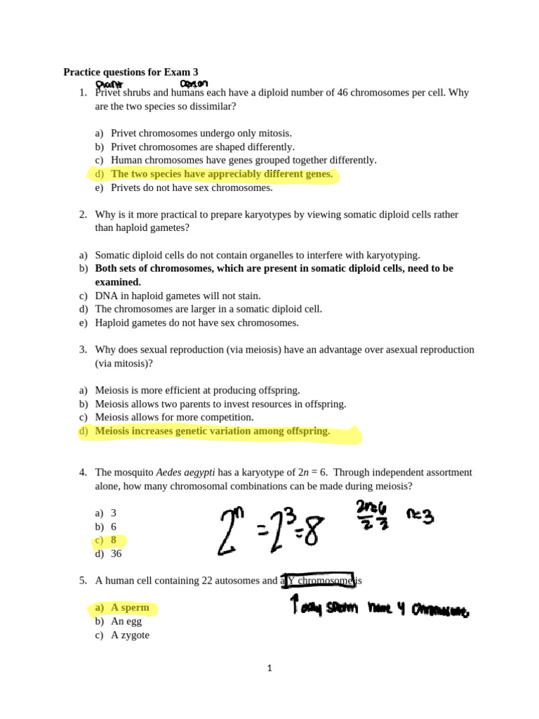 Exam 3 Practice questions_answer keys | PDF | Meiosis | Operon