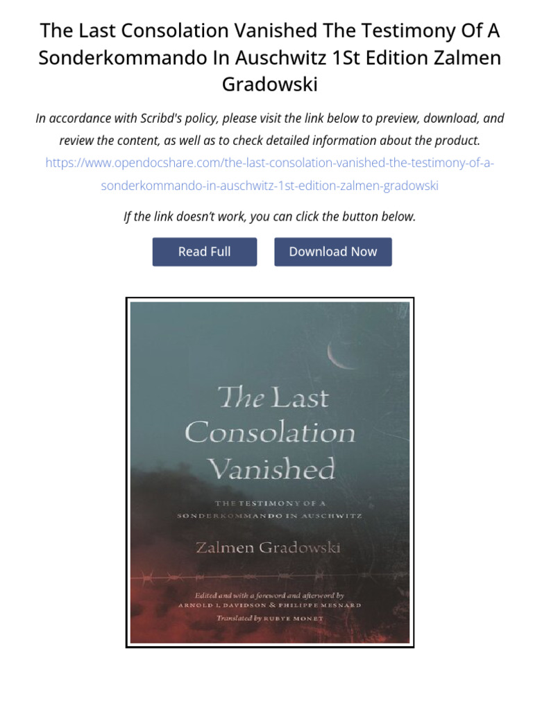 The Last Consolation Vanished The Testimony of a Sonderkommando in ...