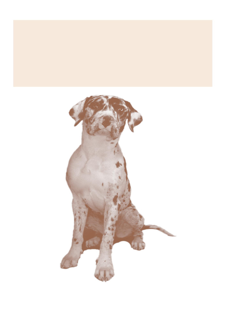 PARTE 03 1000 Best Dog Training Secrets | PDF | Cães | Etiqueta