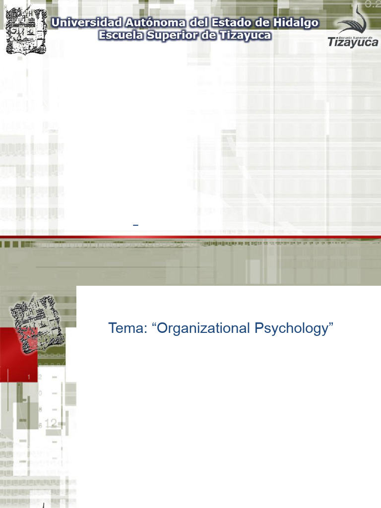 Presentacion Psic Org J-d13 | PDF | Sicología | Sociología