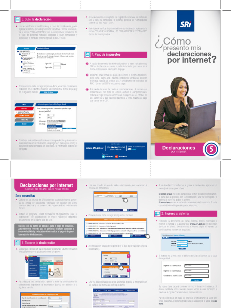 Triptico 05 Declaraciones Por Internet Junio 2017 | PDF | Contabilidad | Impuestos