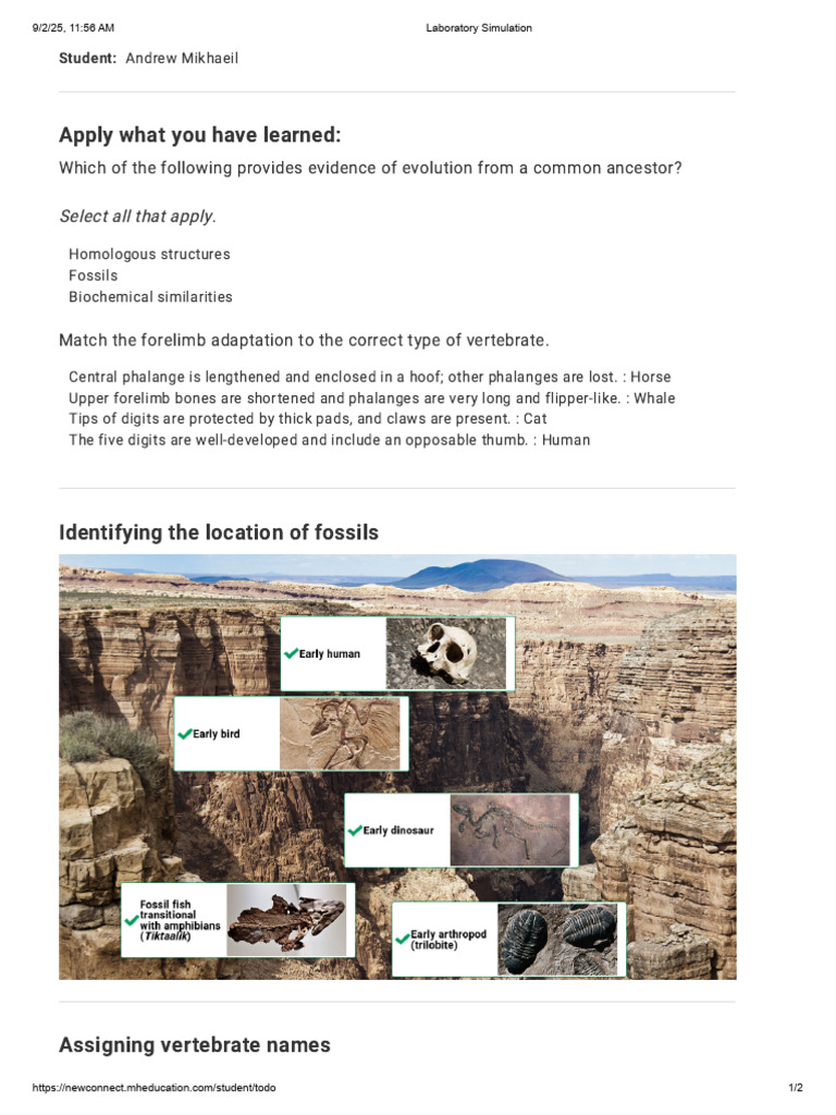 Virtual Lab_ Evidence of Evolution - Fossils and Comparative Anatomy | PDF