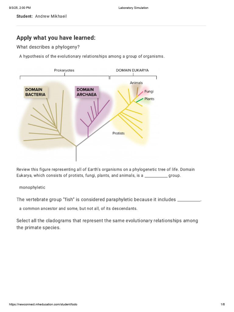 Virtual Lab_ Evidence of Evolution - Phylogeny and Cladistics | PDF ...