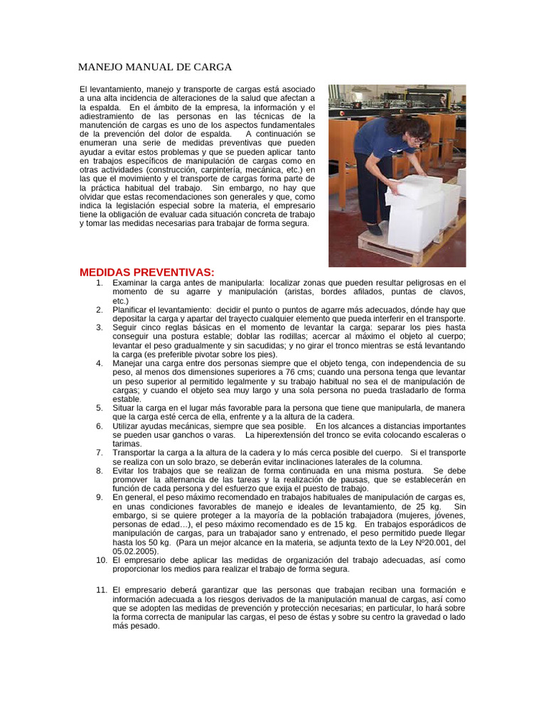 MANEJO MANUAL DE CARGA | PDF