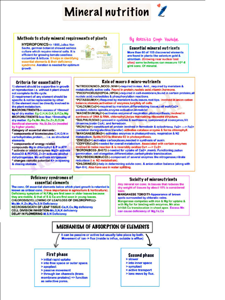 Class 11 Comp. Biology Mindmaps By Rakshita Singh (1) (1) | PDF