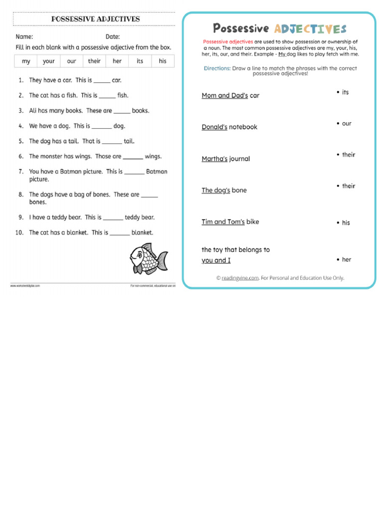 Possessive Adjective Worksheet | PDF