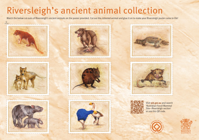 Riversleigh Ancient Animals Activity Guide | PDF