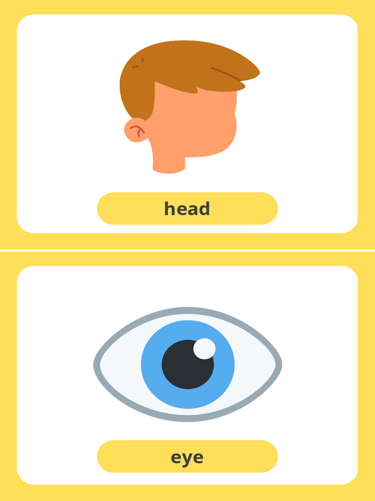 Parts of the Face | PDF