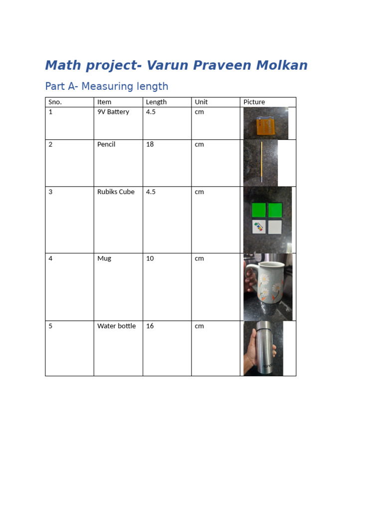Math Project: Measurements Overview | PDF