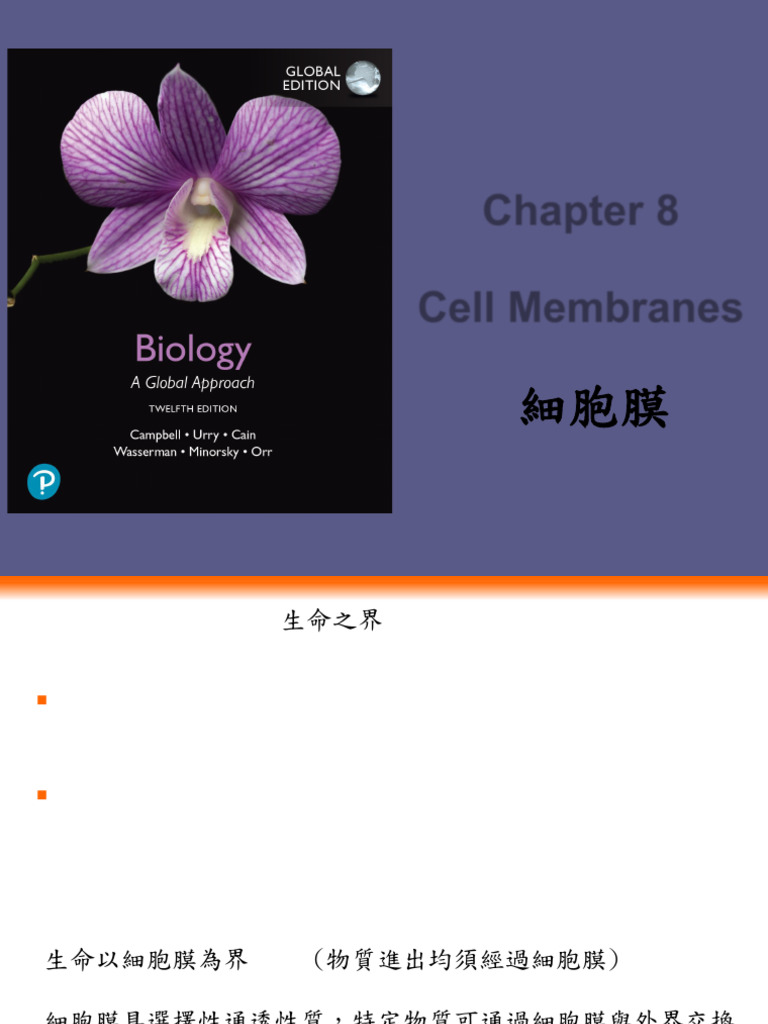 08 Cell Membrane | PDF | Cell Membrane | Vacuole