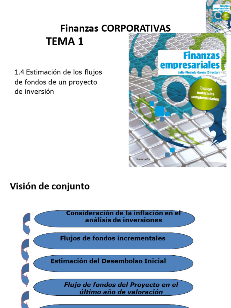 TEMA 1.3 (continuación) Estimación FF PROYECTO INVERSIÓN (cap 10) (2) | PDF | Inflación | Business