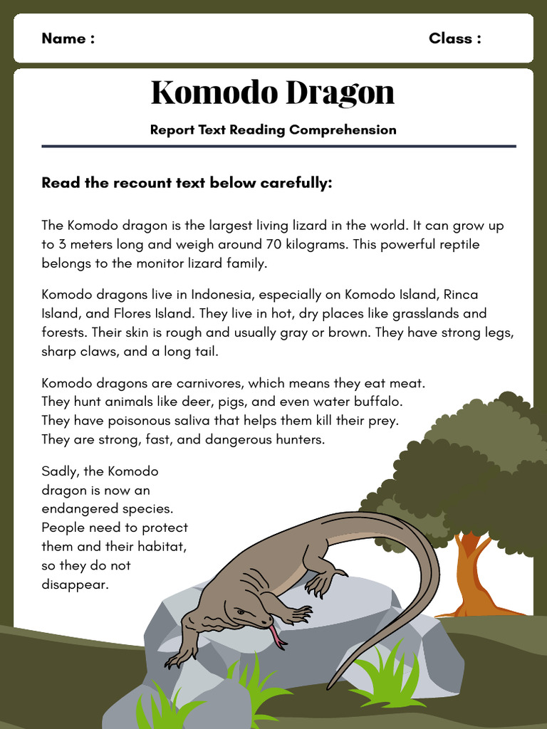 Komodo Dragon: Facts and Conservation | PDF | Komodo Dragon | Lizard