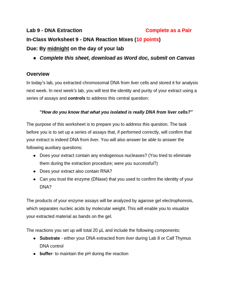 DNA Extraction Lab Worksheet | PDF | Gel Electrophoresis | Dna