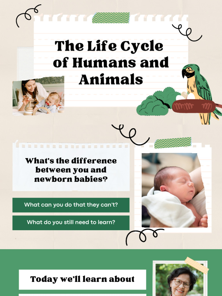 Q3-SCIENCE -Life Cycle of Humans and Animals | PDF | Adults | Adolescence