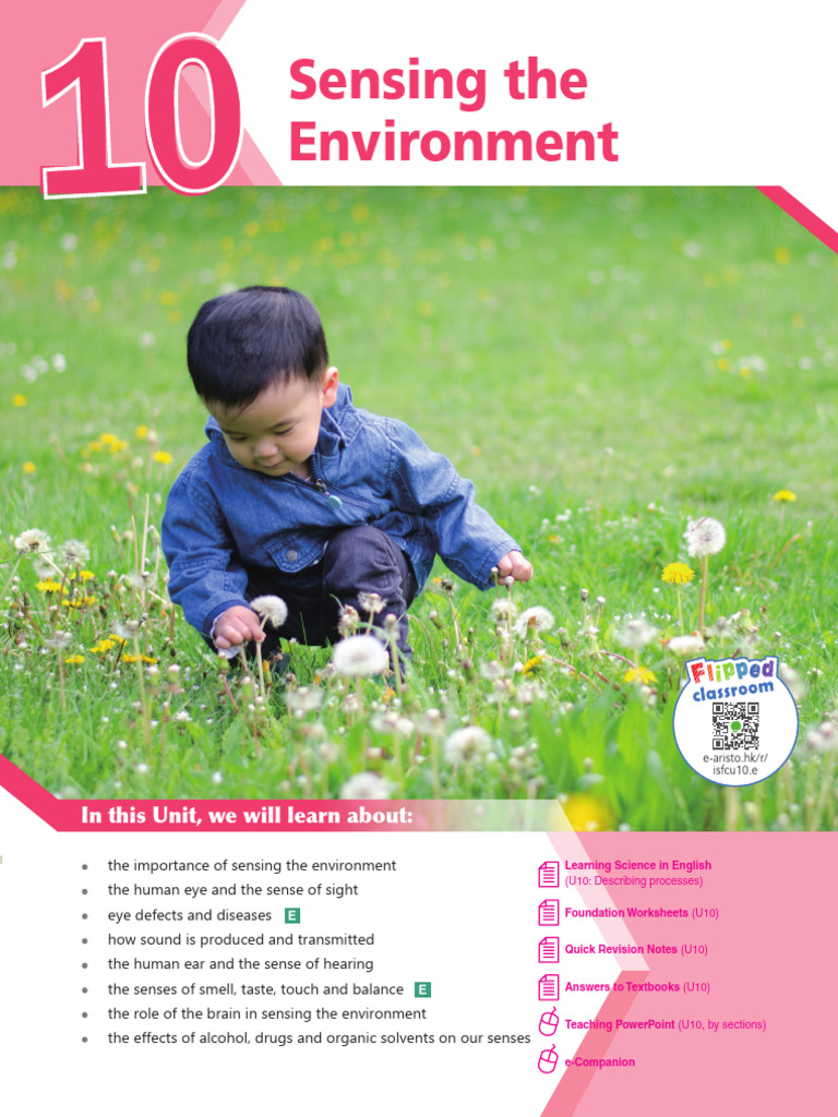 Scicent TE U10 e | PDF | Senses | Eye
