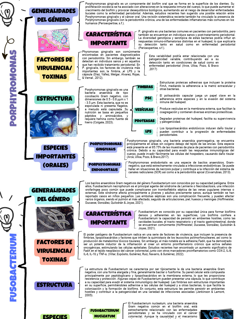 Géneros Bacterianos-Anahi Quiñonez | PDF | Las bacterias | Bacterias ...