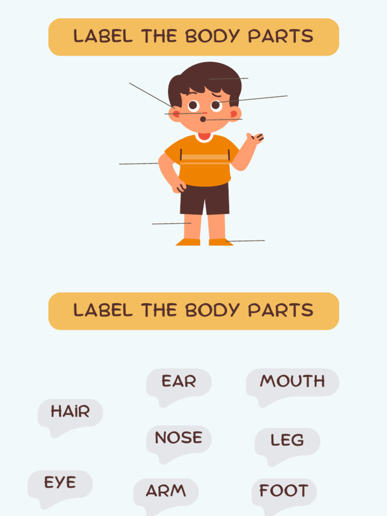 Body Parts Labeling Worksheet 20260109 124252 0000 | PDF