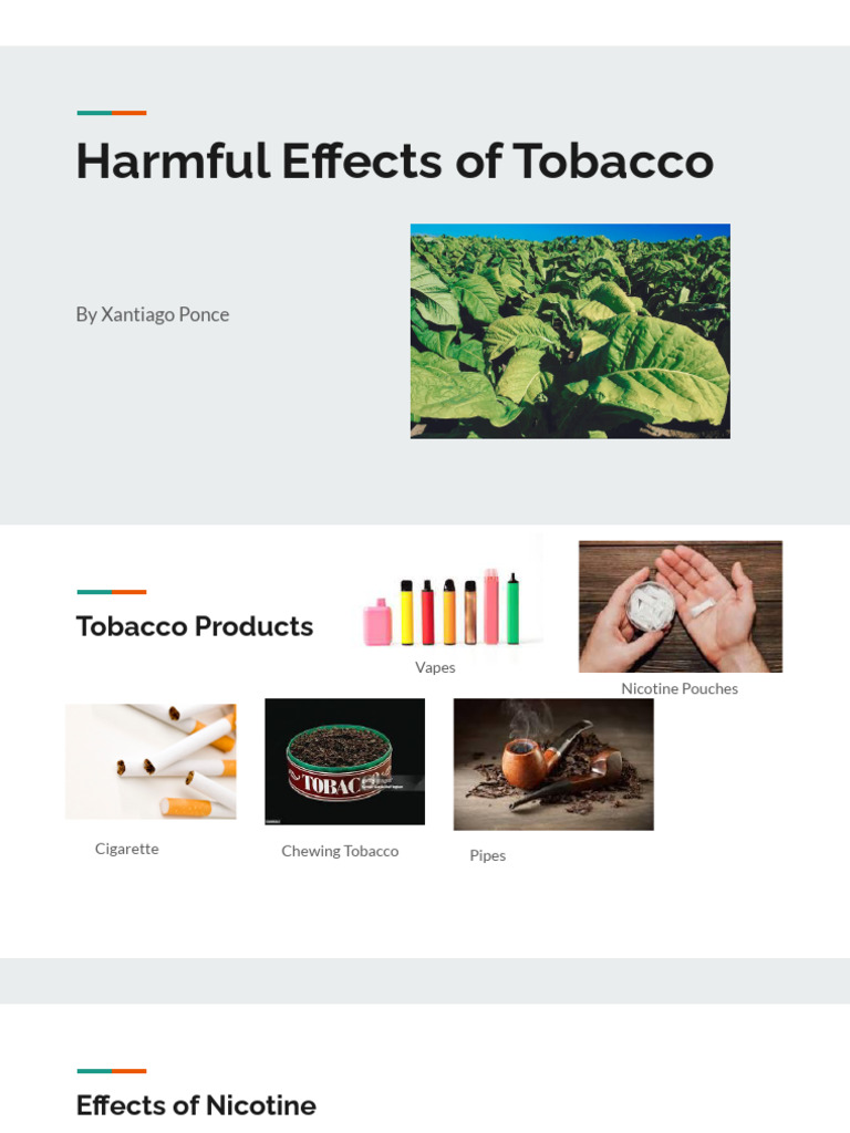 Harmful Effects of Tobacco | PDF