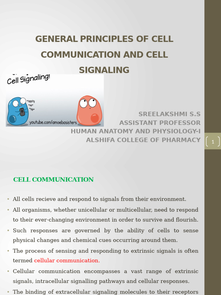Cell Communication and Signaling Principles | PDF | Cell Signaling ...
