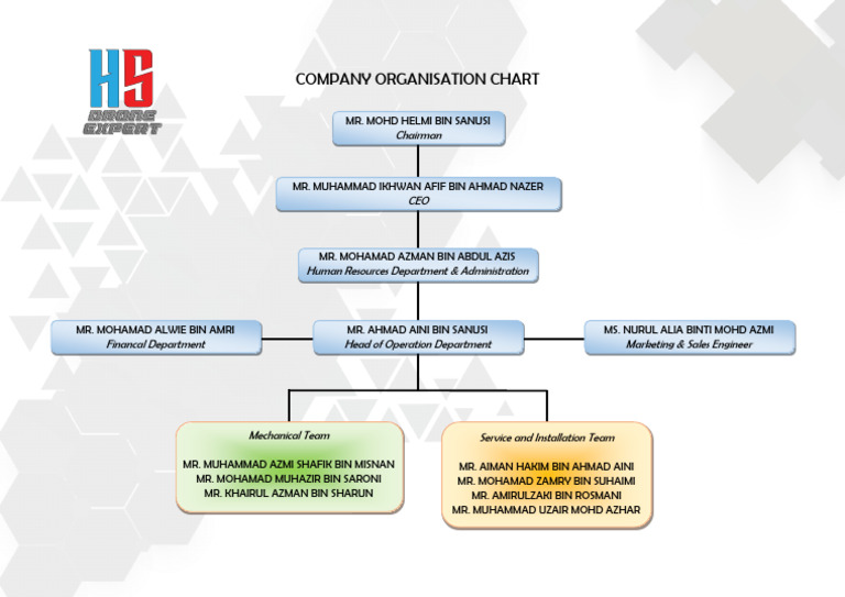 Company Organization Chart Overview | PDF