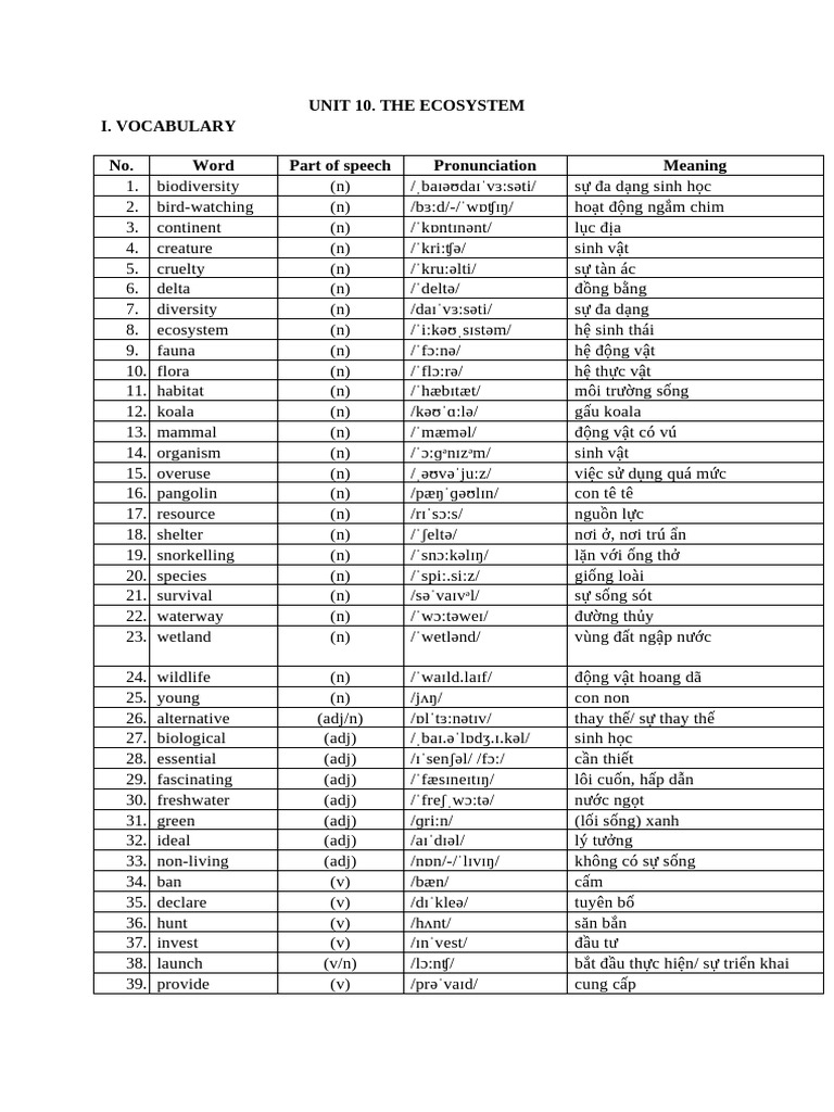 Unit 10 Vocab l11 | PDF