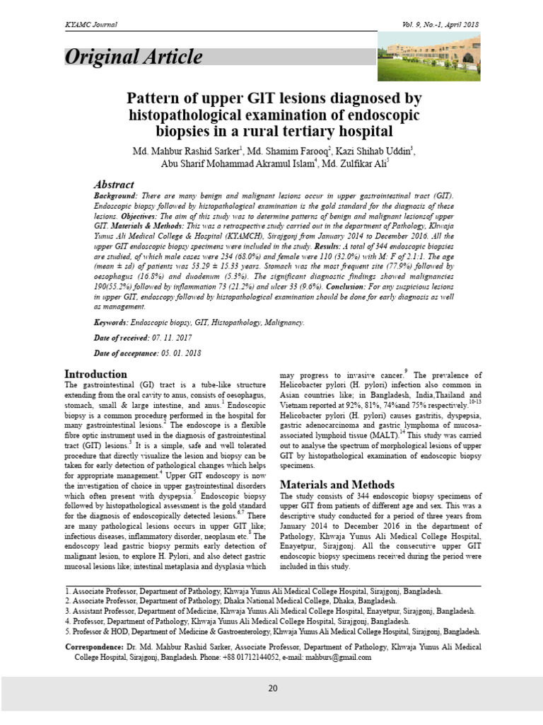 Pattern of Endoscopy-Original 2018 | PDF | Gastrointestinal Tract ...
