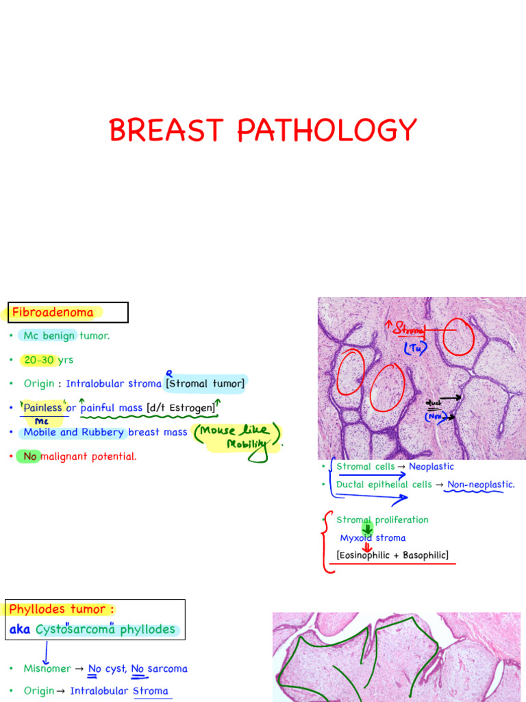14. Miscell-1 (1) | PDF | Anatomy | Neoplasms