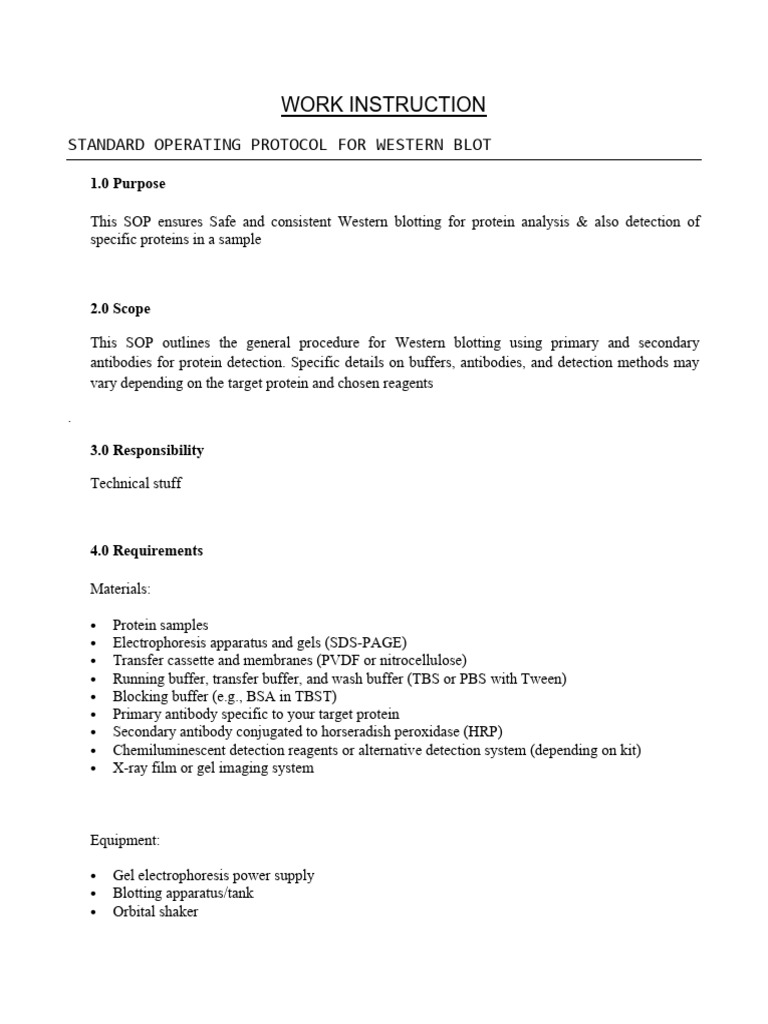 Blot | PDF | Western Blot | Blot (Biology)