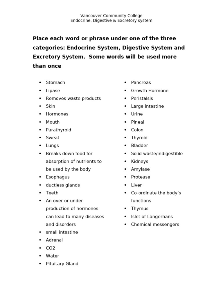 Endocrine, Digestive & Excretory Systems | PDF