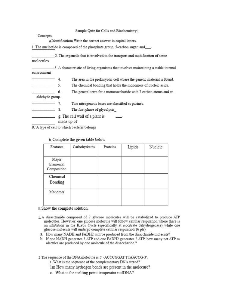 sample quiz- bio | PDF | Dna | Cellular Respiration