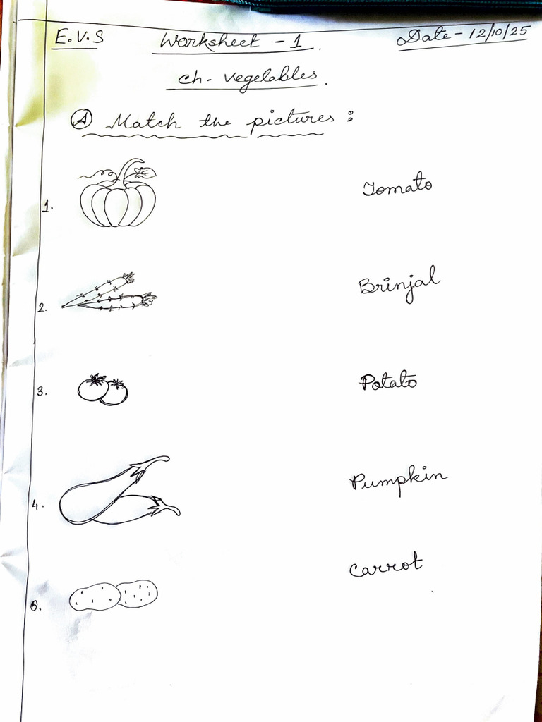 EVS Worksheet KG 2 | PDF