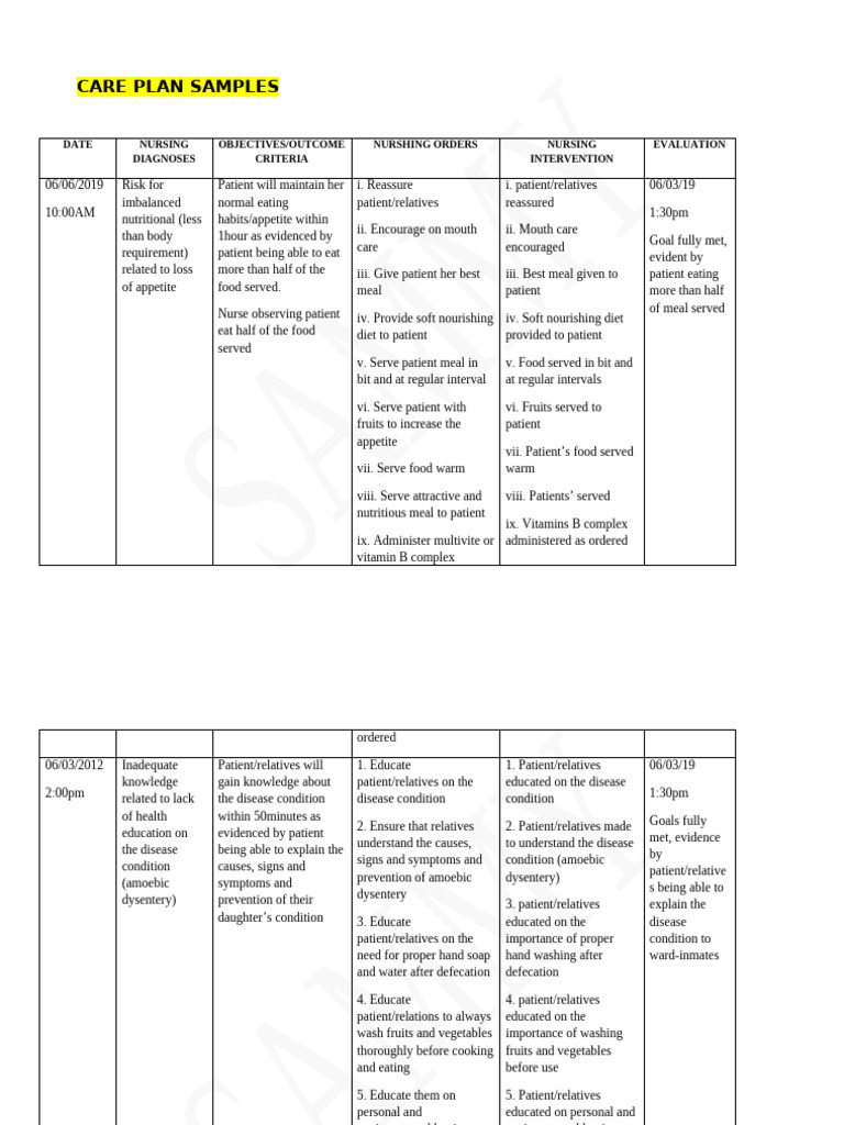 Care Plan | PDF | Nursing | Pain