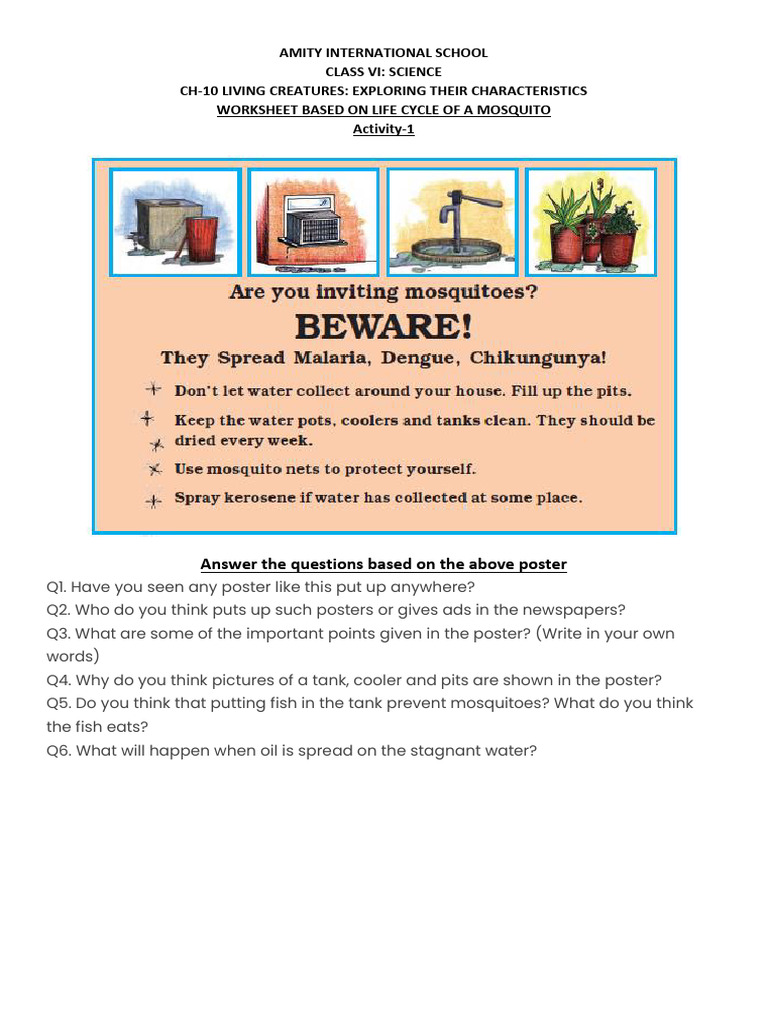 Mosquito Life Cycle Worksheet for Kids | PDF