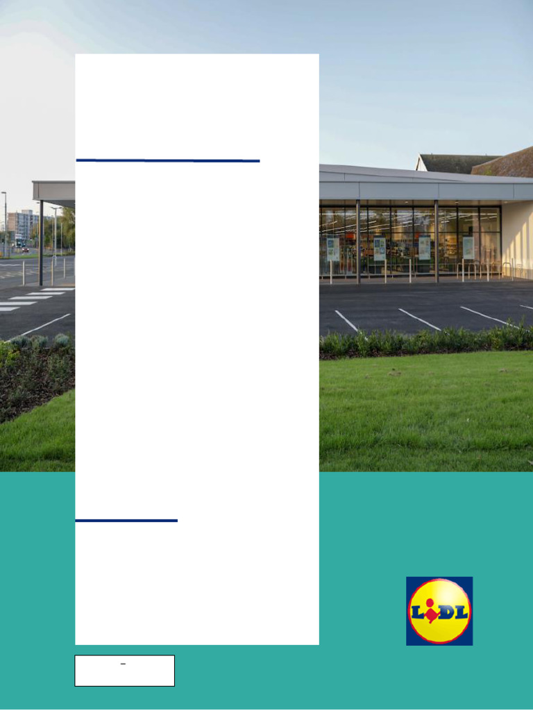 Lidl HS Specification for Construction Works 2024 V4 | PDF | Occupational Safety And Health ...