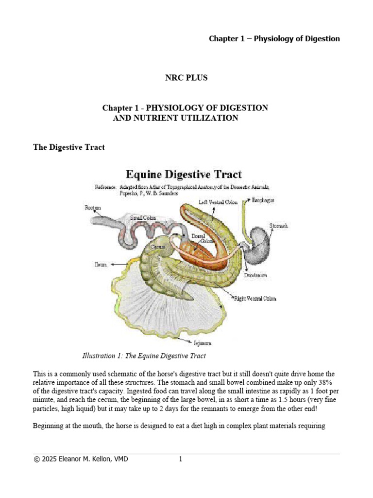 NRC - Plus - Chapter-1 2024 | PDF | Digestion | Glucose