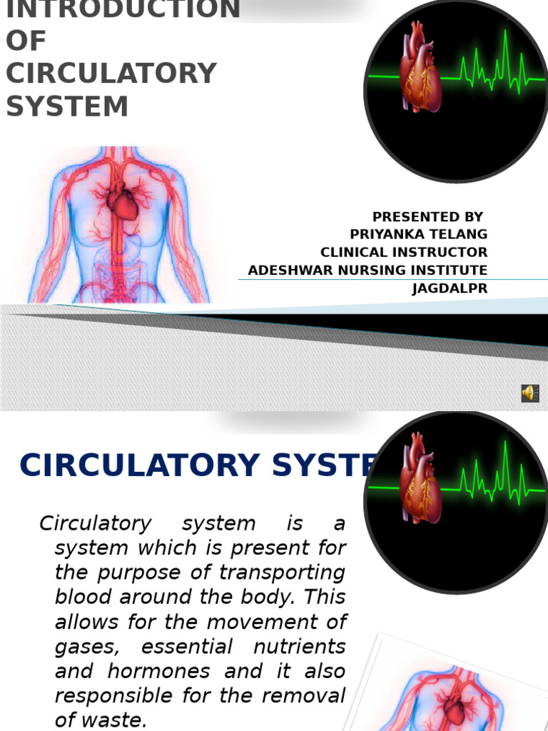 Introduction to the Circulatory System | PDF