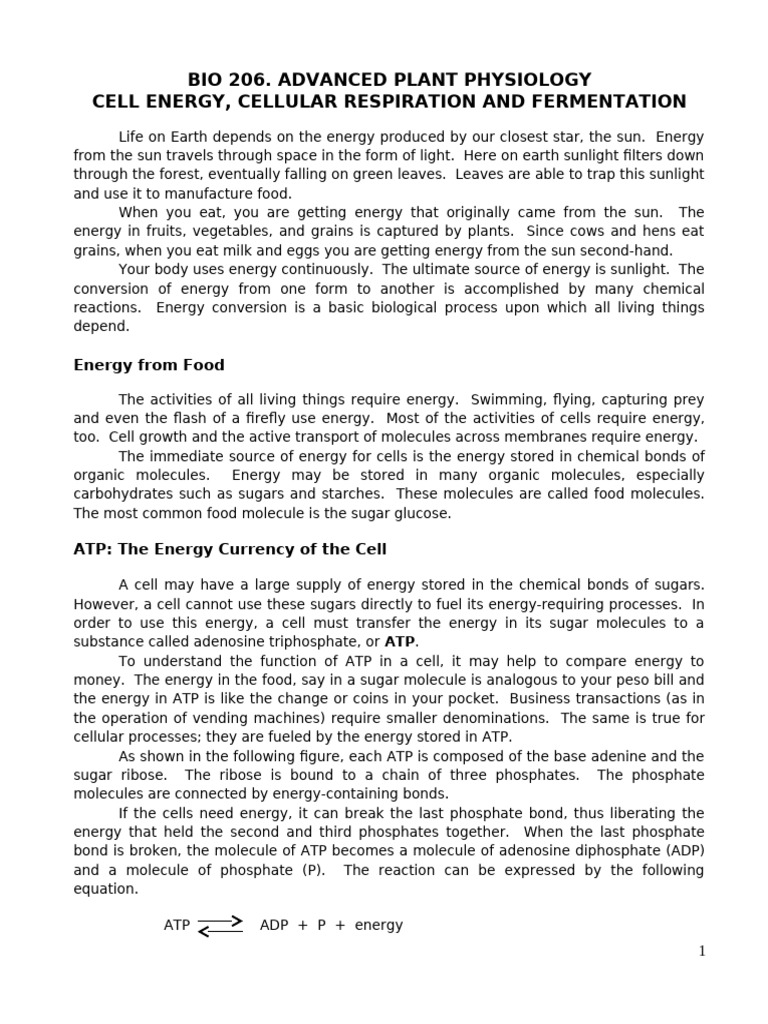 Plant Physiology: Energy & Respiration | PDF | Cellular Respiration ...