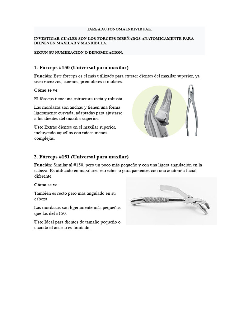 Forceps 2 | PDF | Diente | Boca